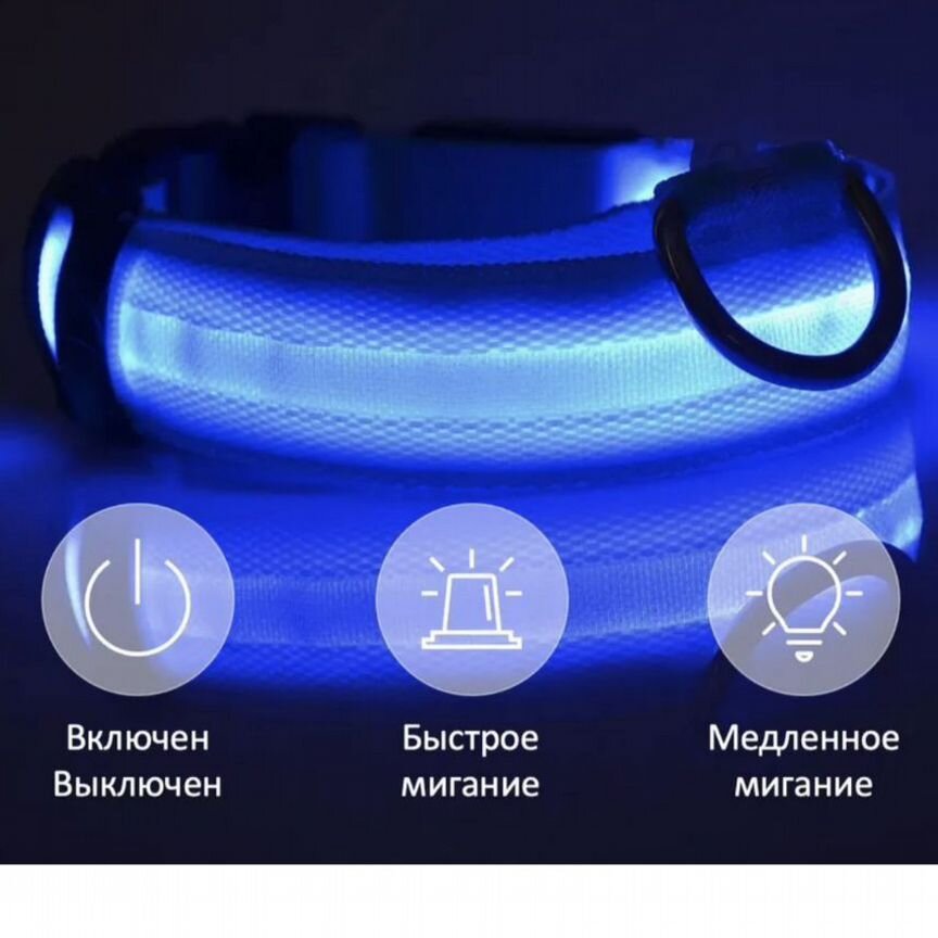 Ошейник для маленькой собаки