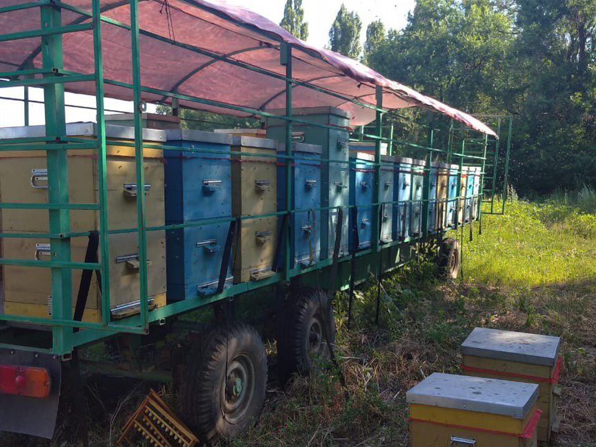 Пчелоприцеп