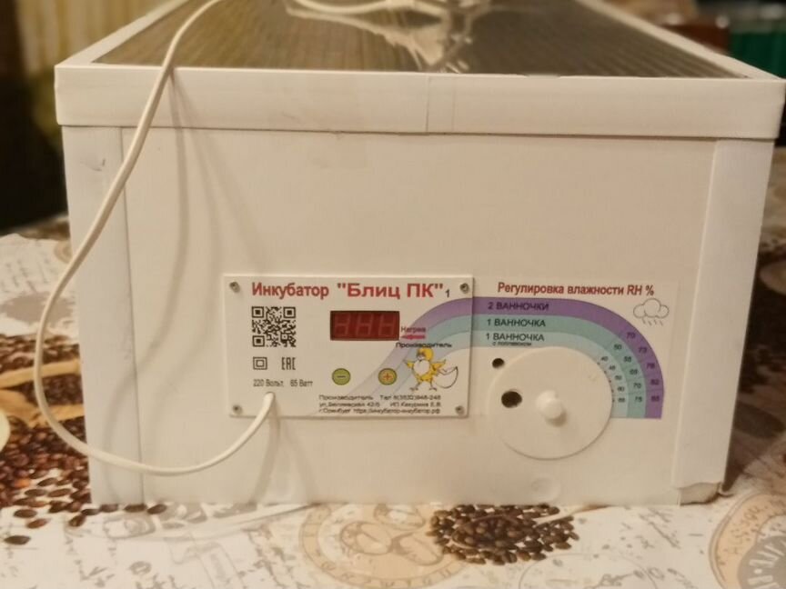 Инкубатор блиц выводной