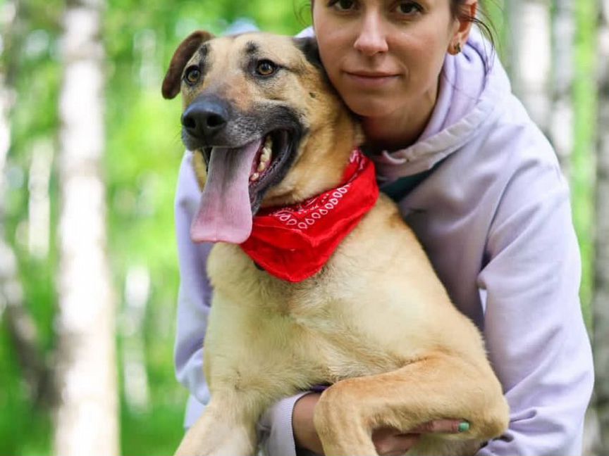 Молодой добрый Арчи из приюта