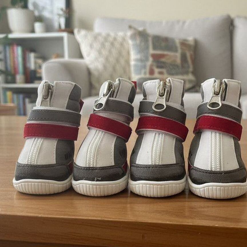 Обувь для собак размер 4