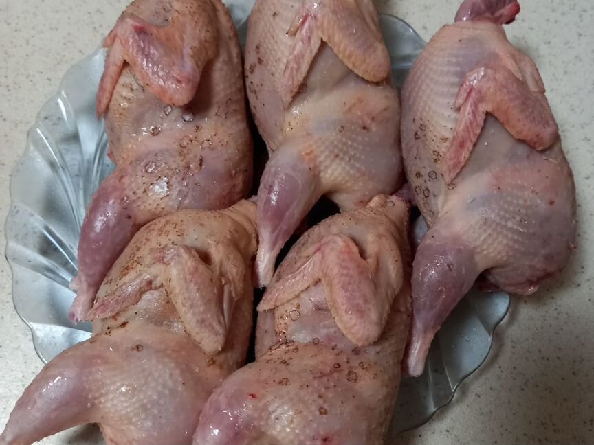 Перепела.тушки. домашние