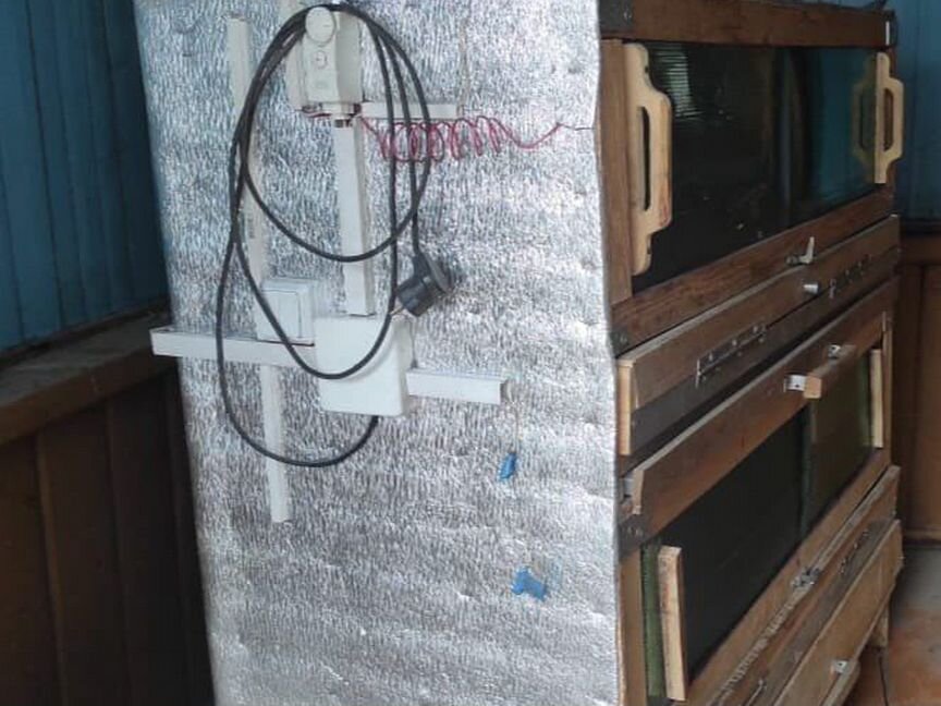 Брудер для цыплят