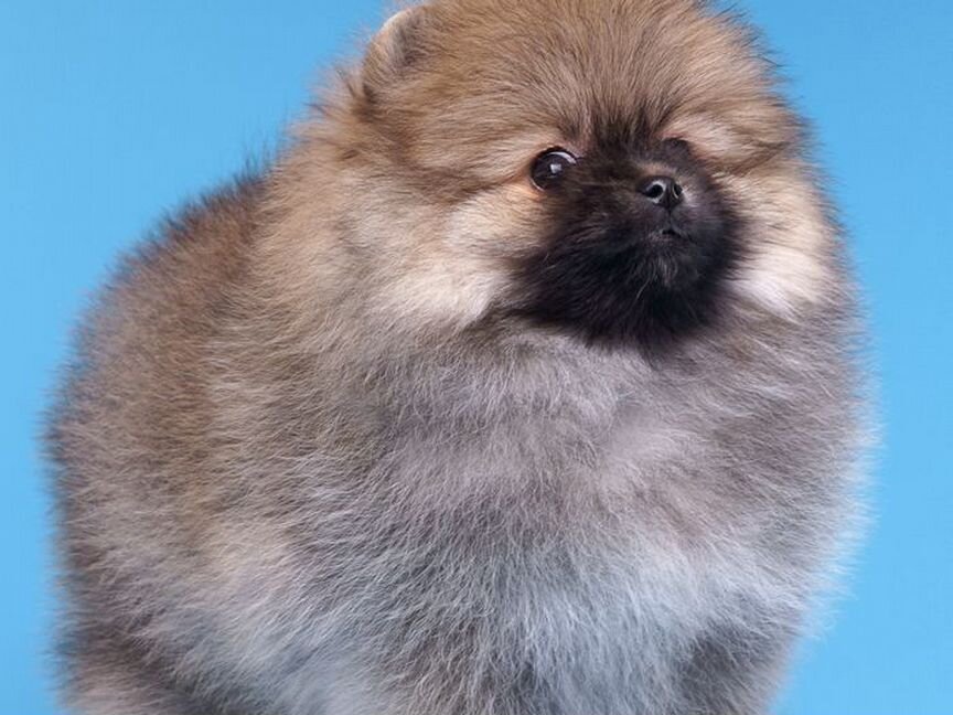 Мини малышка