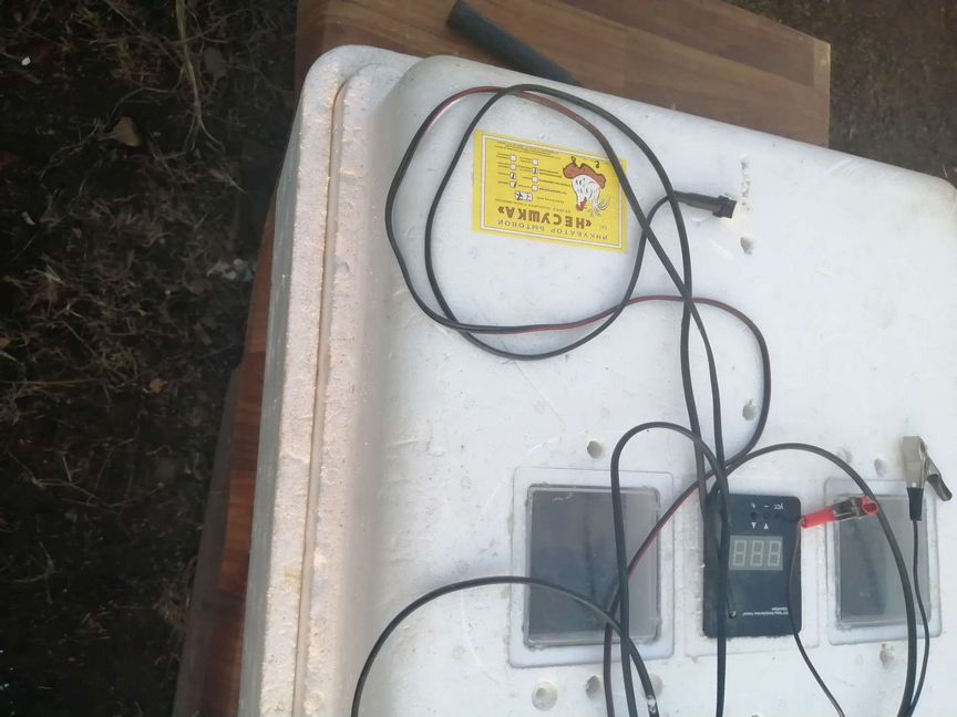 Продаётся инкубатор на 76 яиц