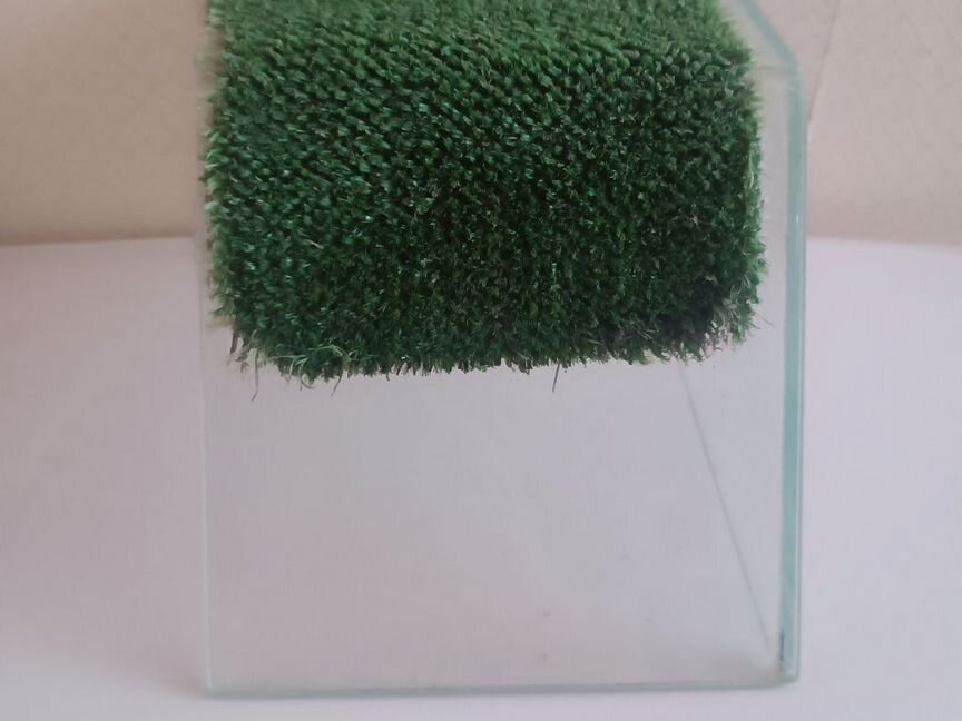 Островок для черепахи