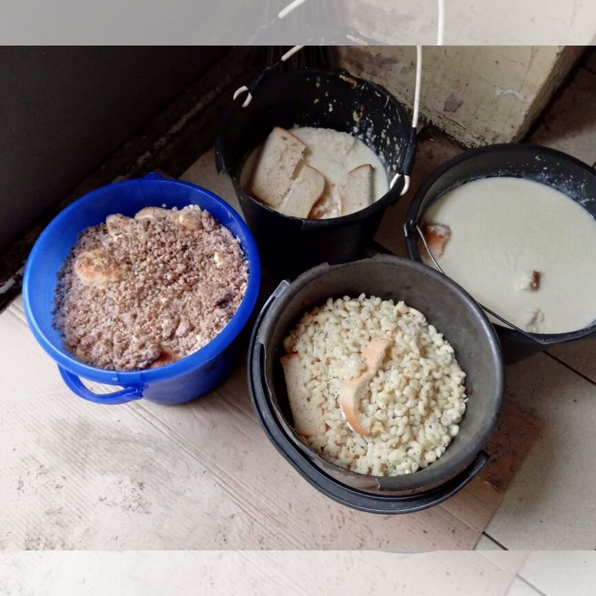 Пищевые отходы для животных