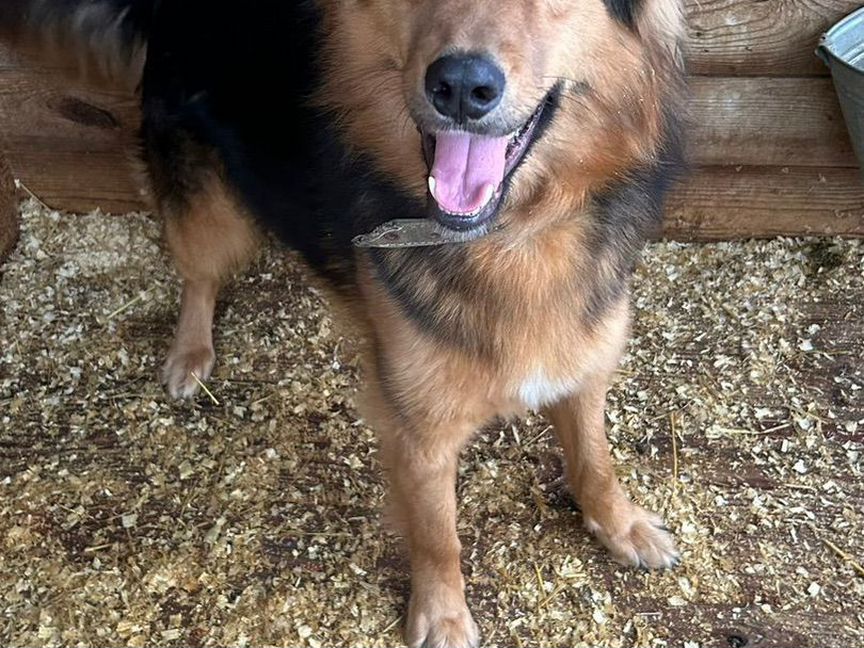 Гарик все еще ждет