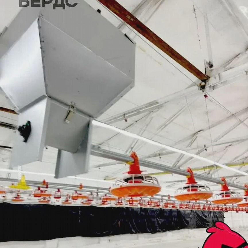 Бункер раздачи корма для птицефабрик