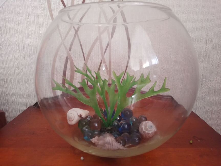 Аквариум шар