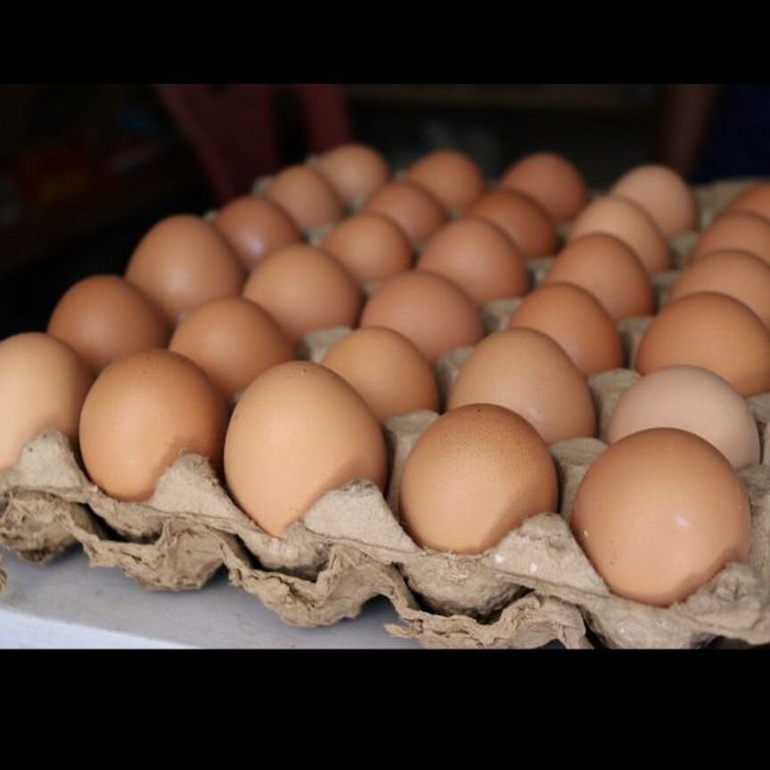 Инкубационное яйцо бройлера