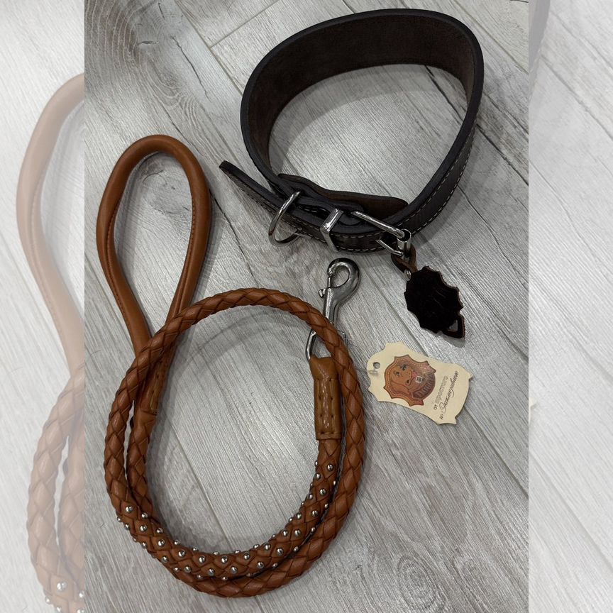 Ошейник и поводок