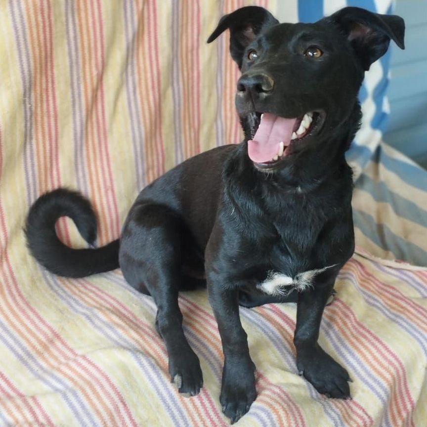 Маленький Локки