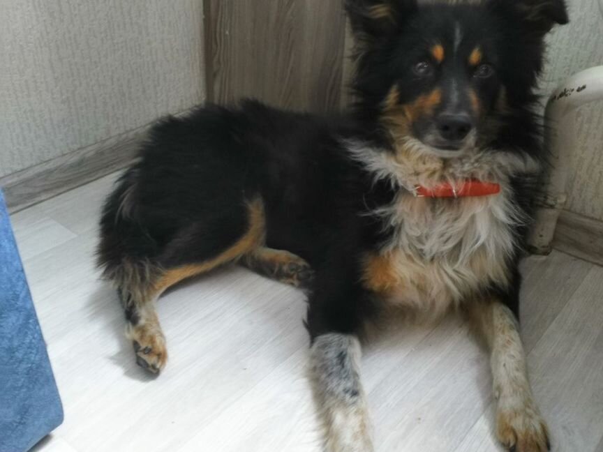 В очень ответственные руки