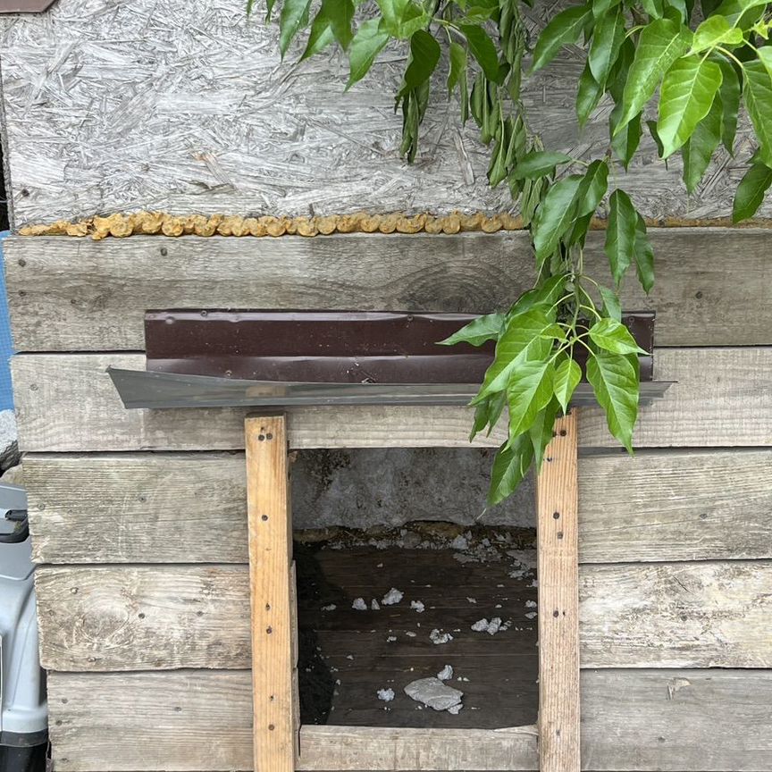 Будка для большой собаки