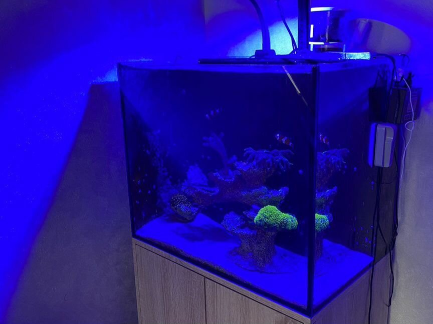 Морской аквариум