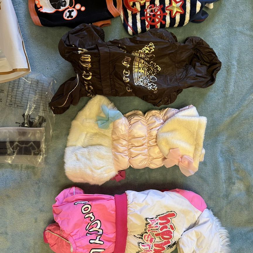 Одежда для собак