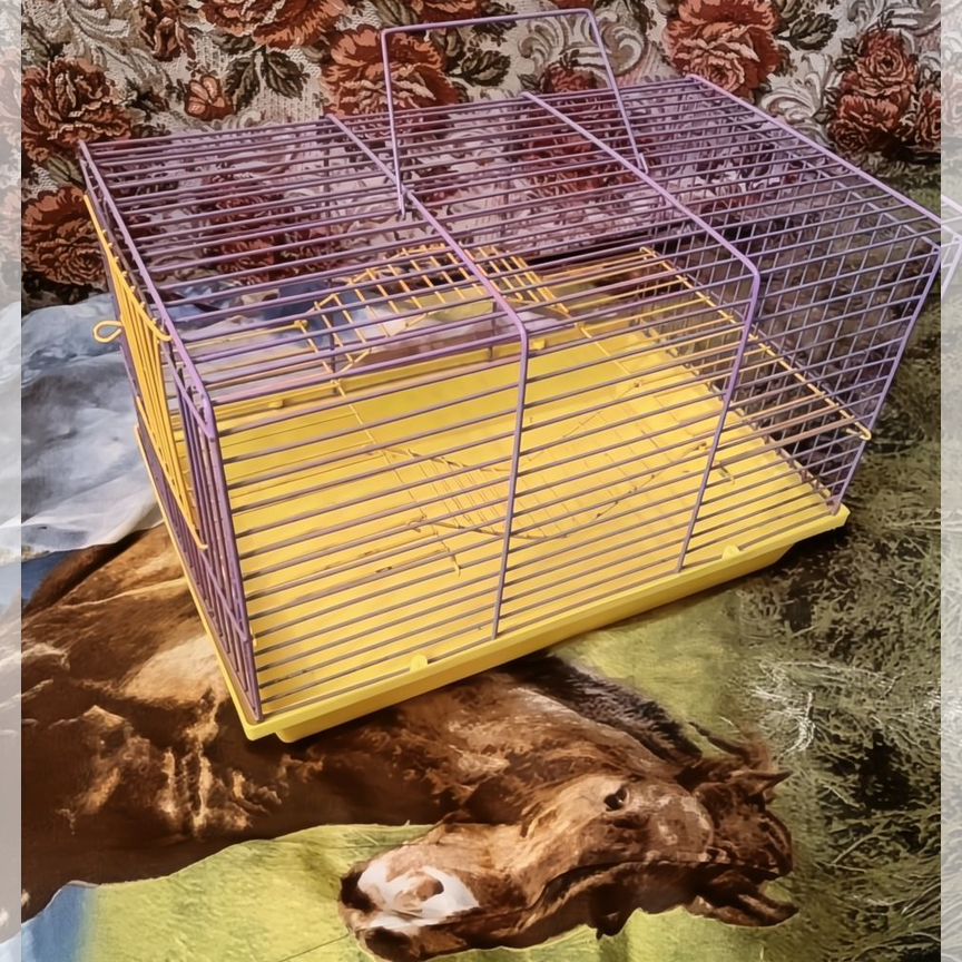 Клетки для птиц