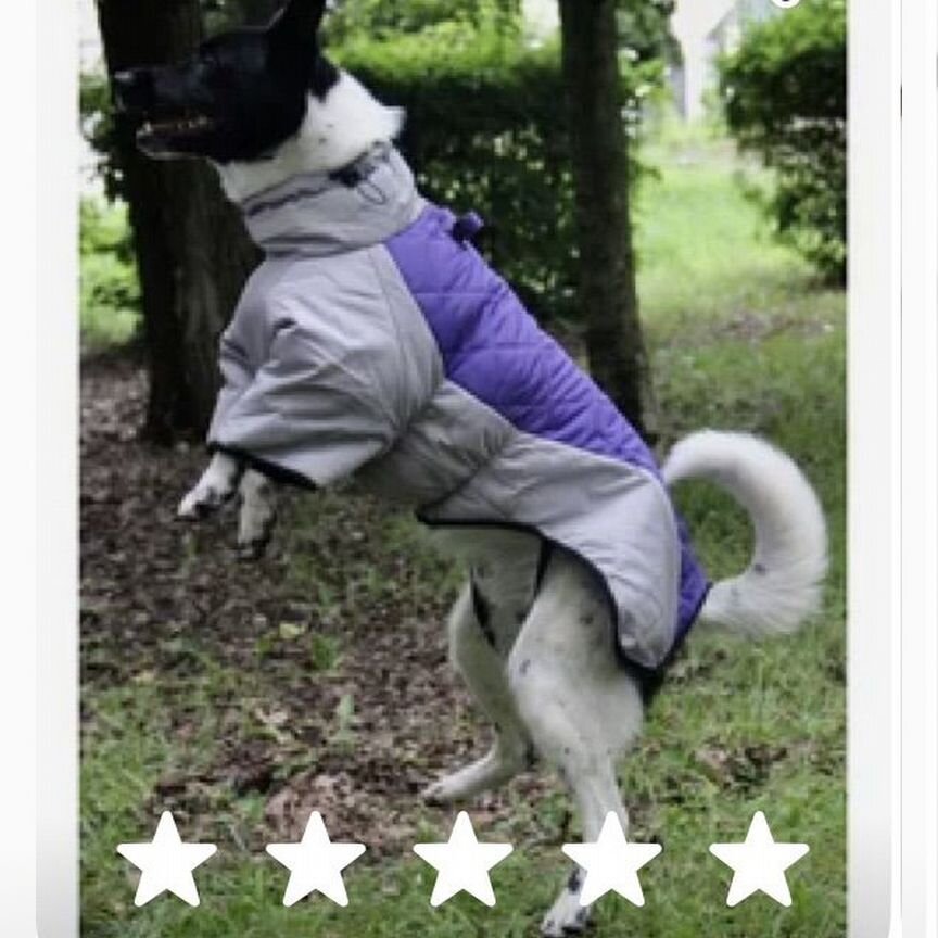 Куртка для собак средних пород