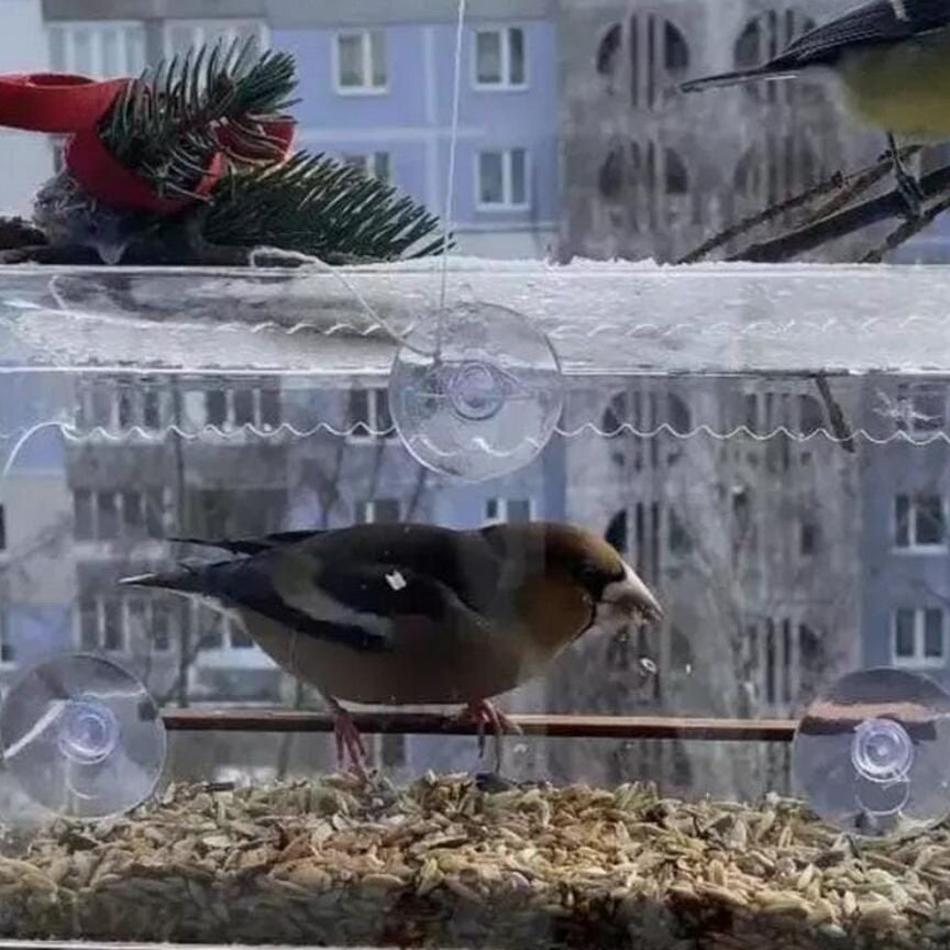 Кормушка для птиц на окно