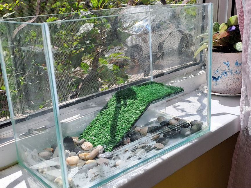 Аквариум с мостиком