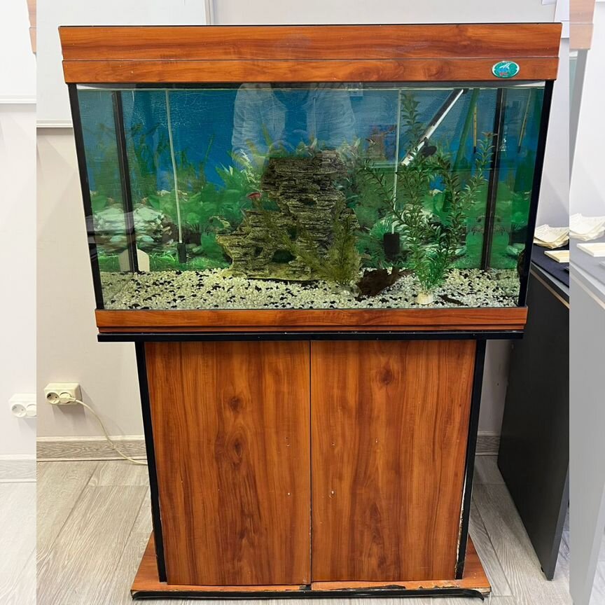 Аквариум на 150 литров с рыбками