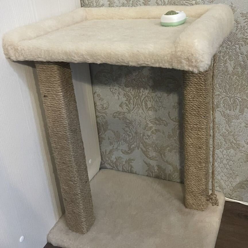 Когтеточка новая