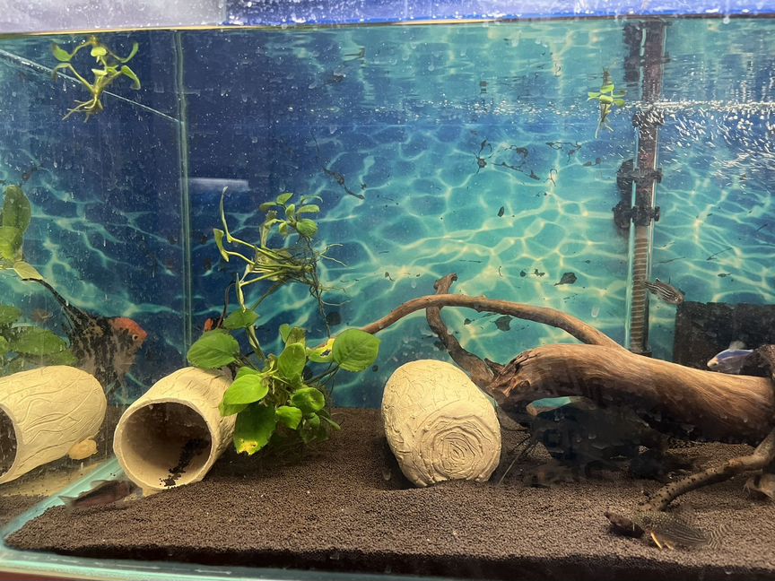 Аквариум с тумбой