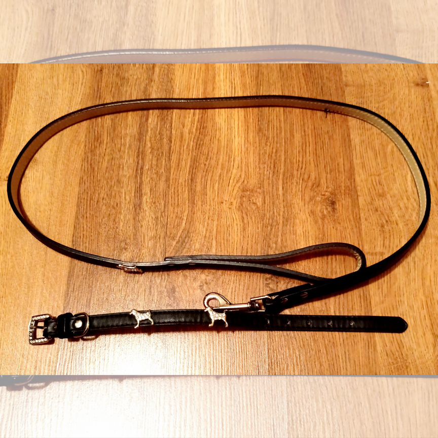 Поводок с ошейником для собак