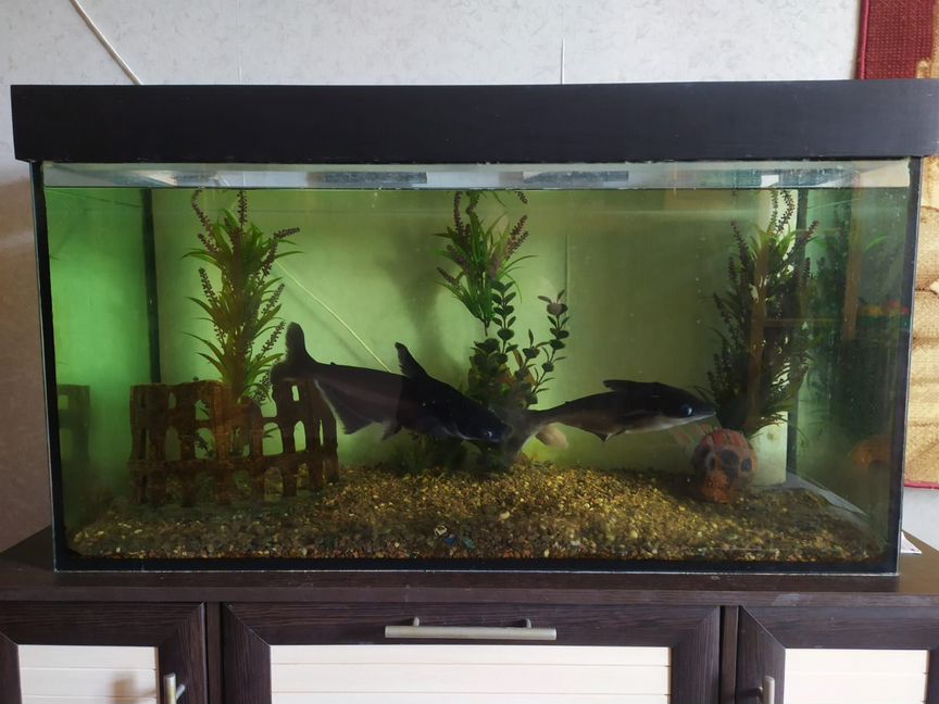 Аквариум с рыбками бу