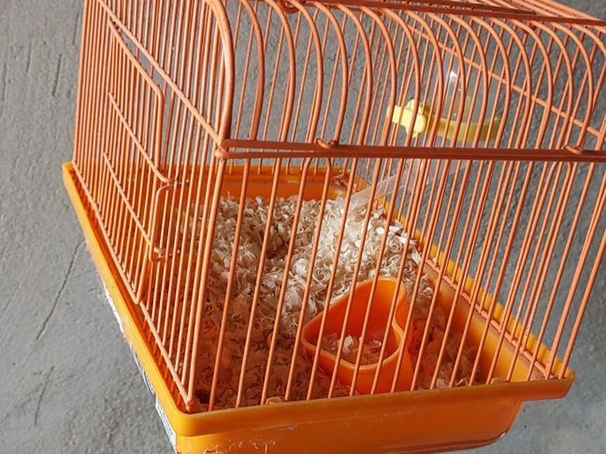 Продам клетку для хомячка+ поилка+кормушки+ опилки