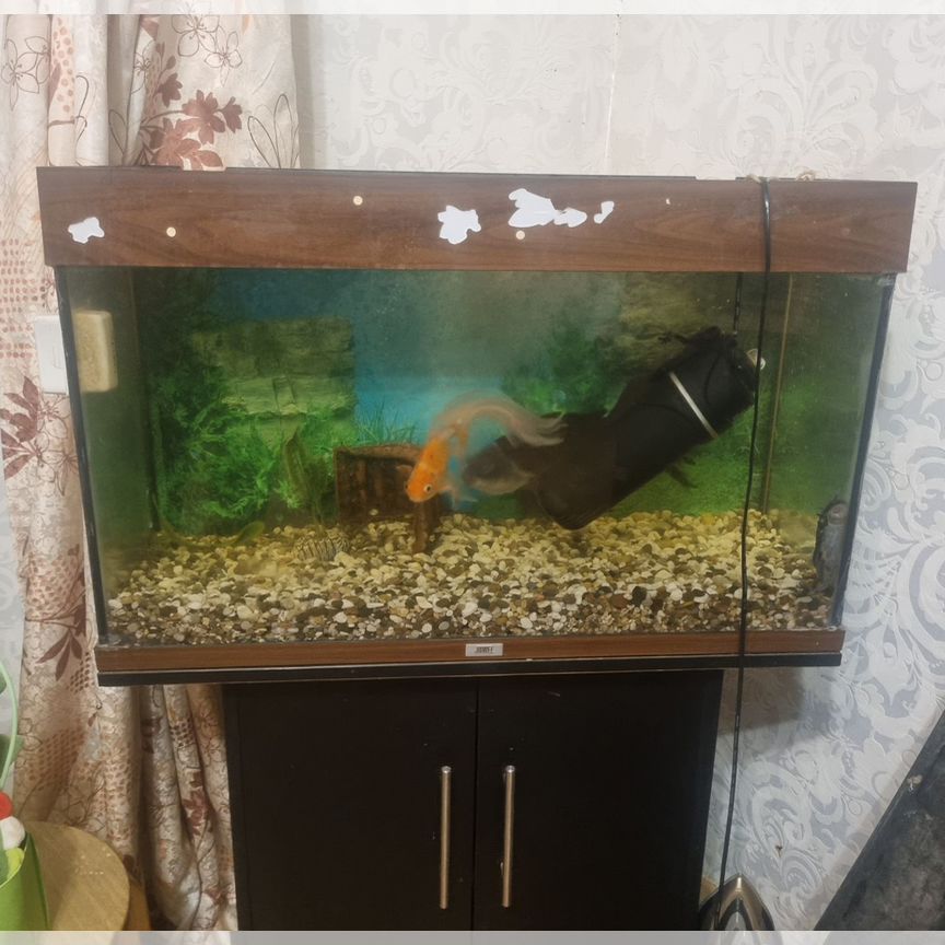 Аквариум с тумбой jebo