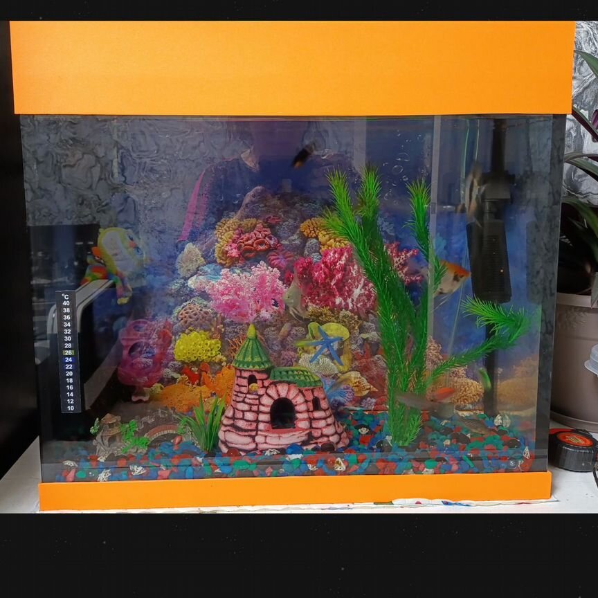 Аквариум с рыбками