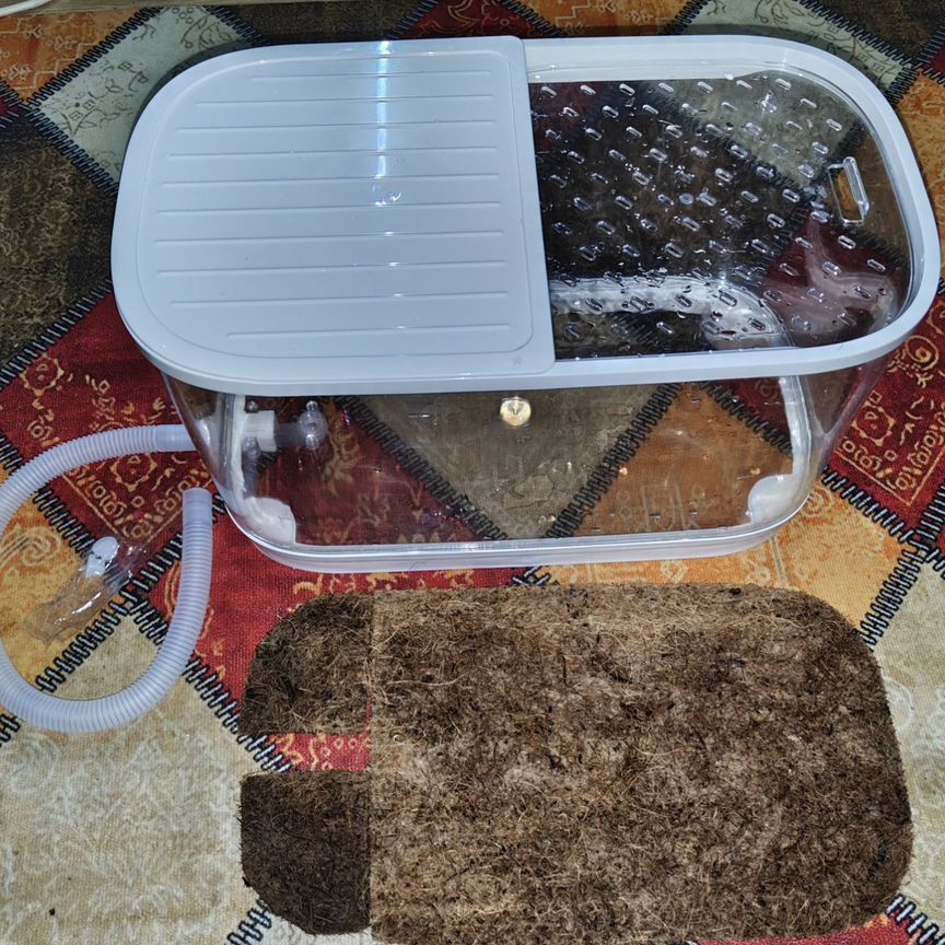 Террариум для рептилий