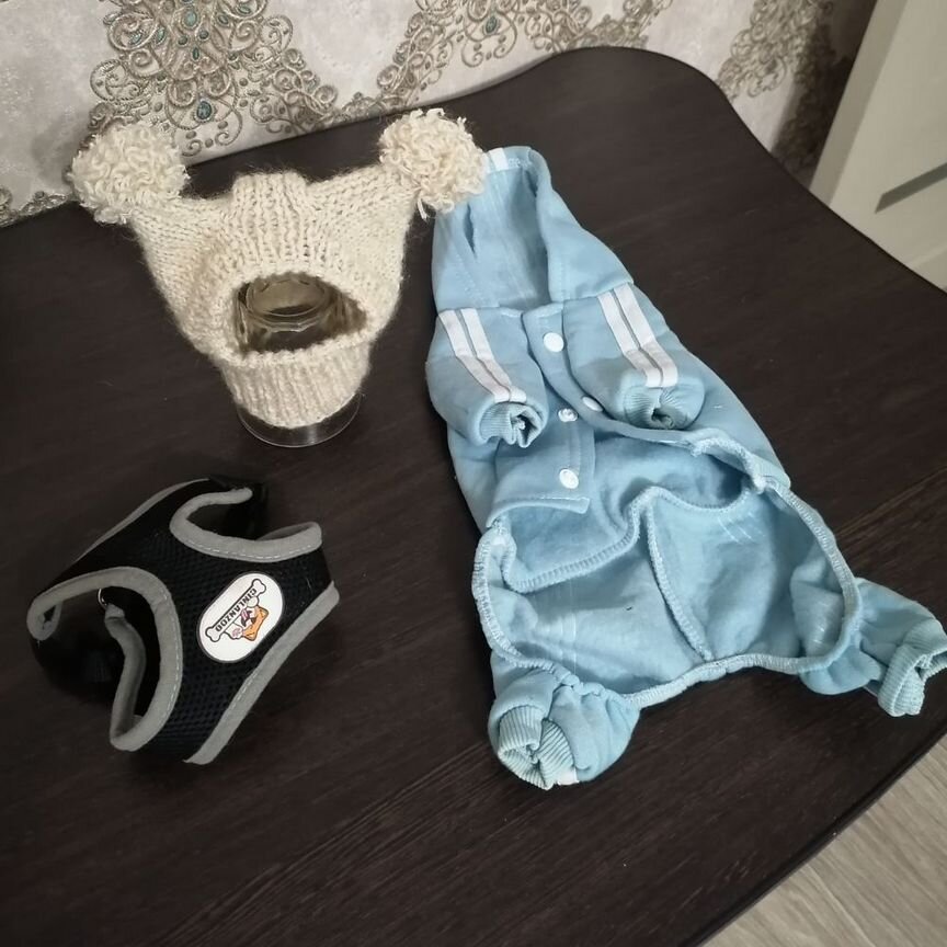 Одежда для маленьких собак