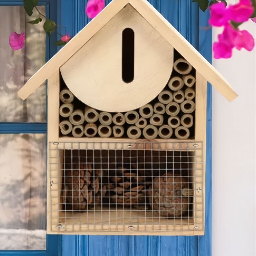 Домик для разведения божьей коровки