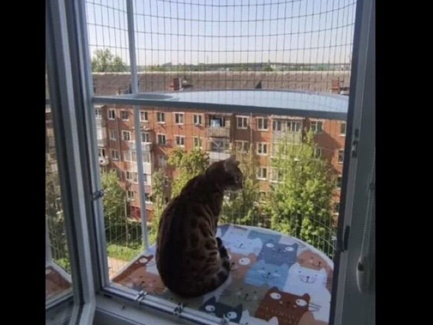 Балкон для кошек