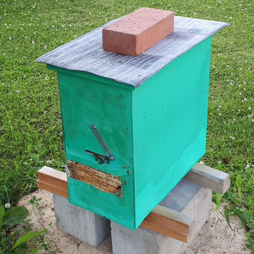 Ловушка для пчел