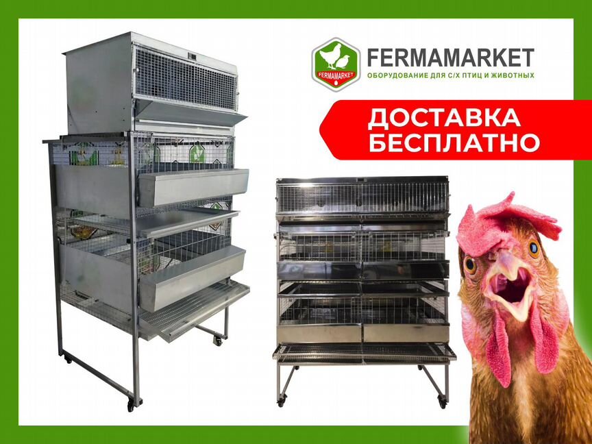 Клетки бройлеров, кур-несушек Козельск