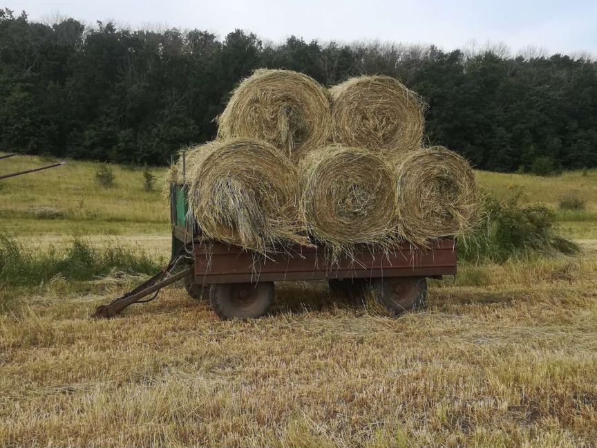 Продам сено в рулонах