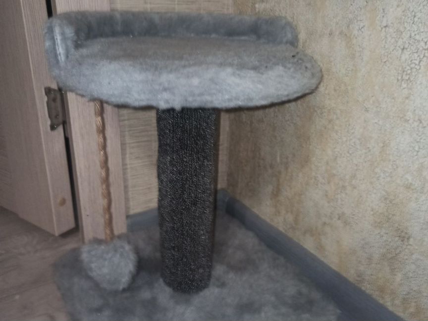 Когтеточка
