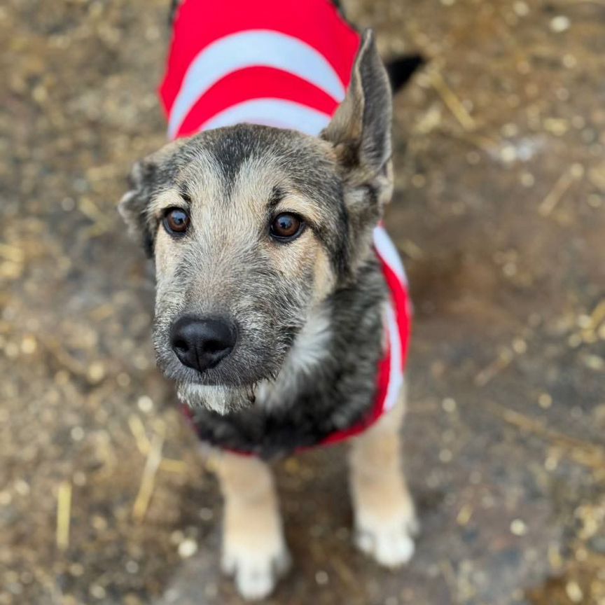 Малышка ждет семью