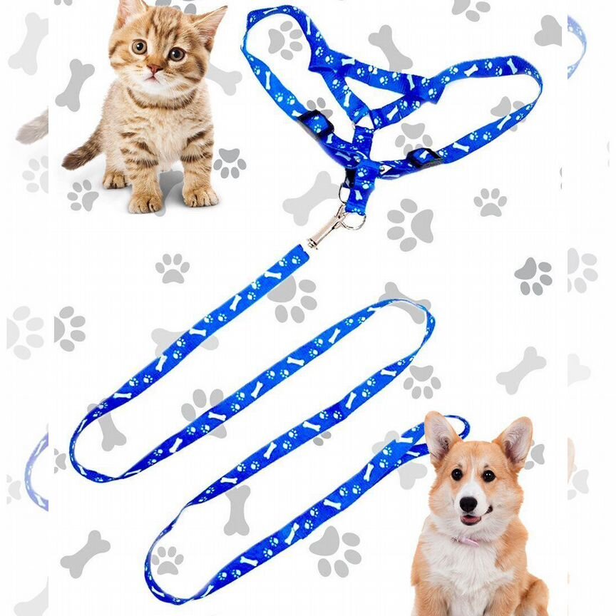 Шлейка поводок для кошек и маленьких собак