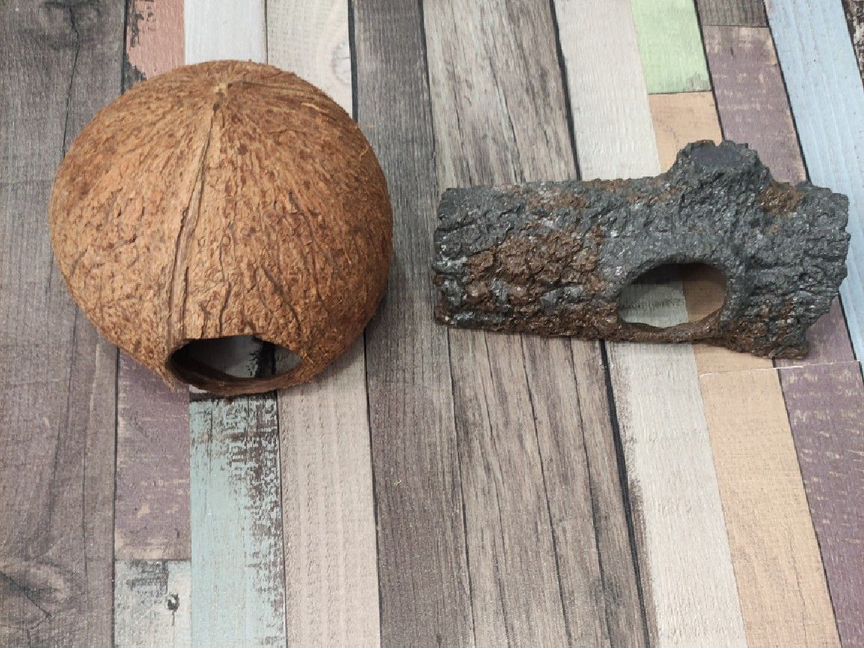 Домики для ящериц