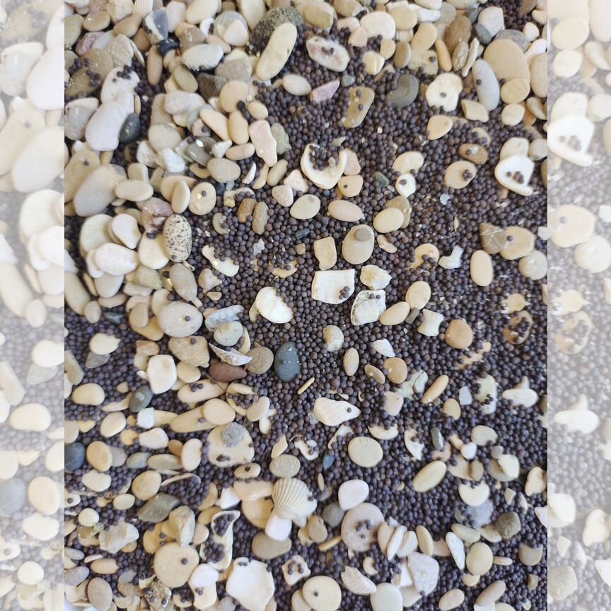 Грунт для аквариума