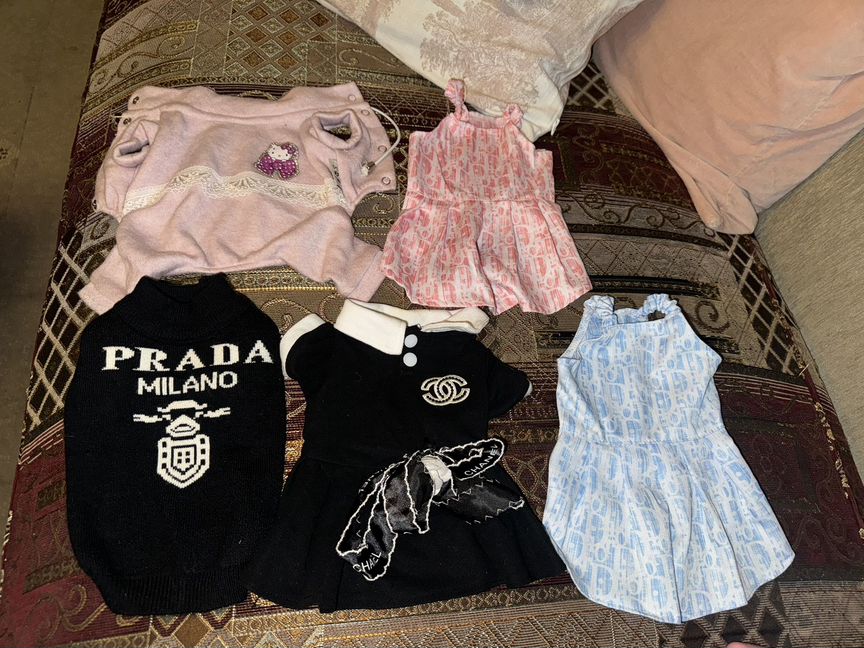 Одежда для маленькой собачки