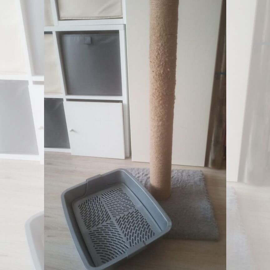 Высокая когтеточка и глубокий лоток