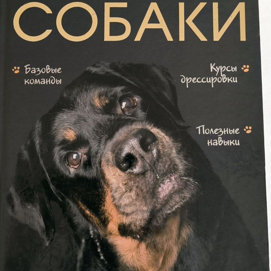 Дрессировка и воспитание собаки