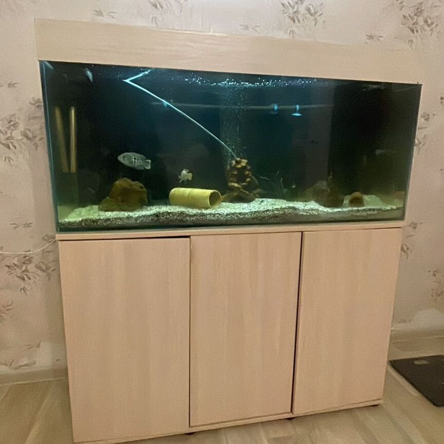 Аквариумные рыбки