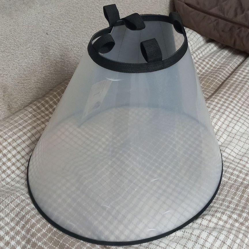 Воротник защитный для собак крупных пород